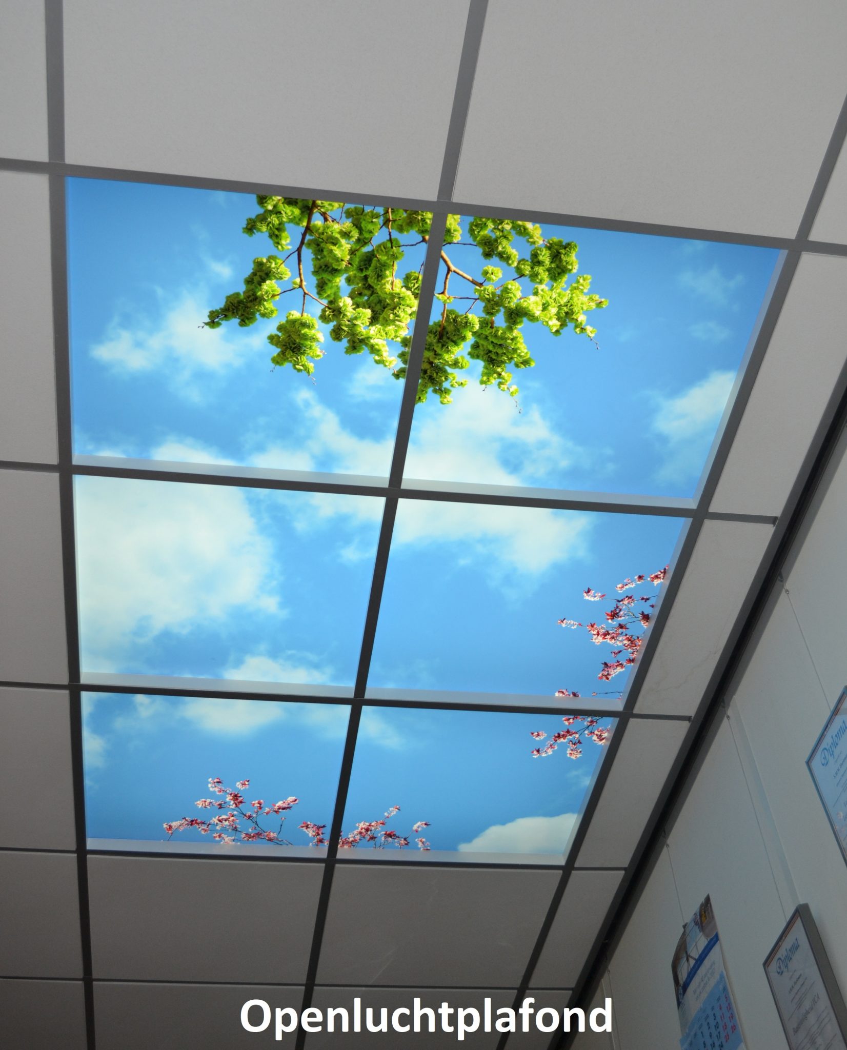 Systeemplafonds – SensueS